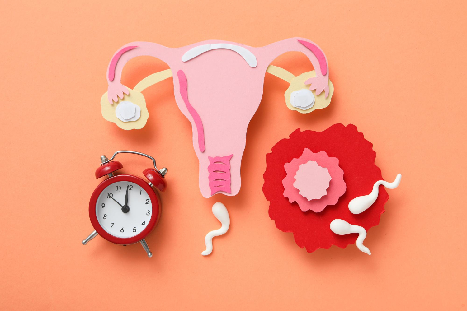 Myths Vs Facts Debunking Misconceptions About Gynecological Health